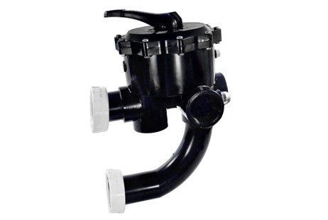 Pentair Sta-Rite 2" MultiPort Valve Side Mount DE Filter with Pip ...